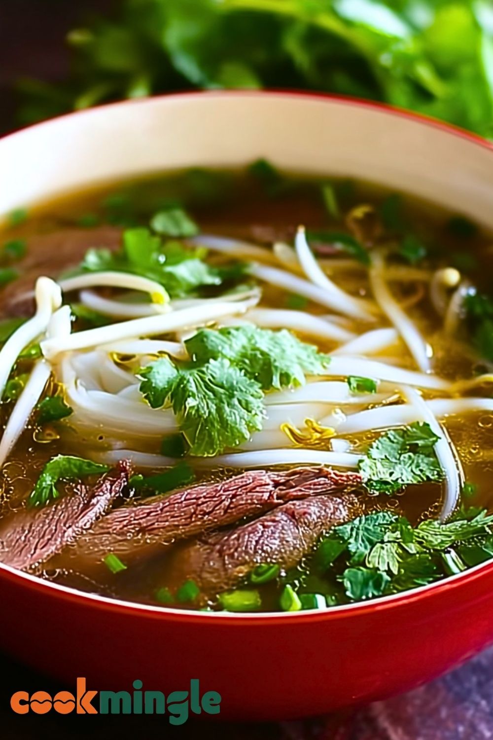 Vietnamese Beef Pho - Cook Mingle